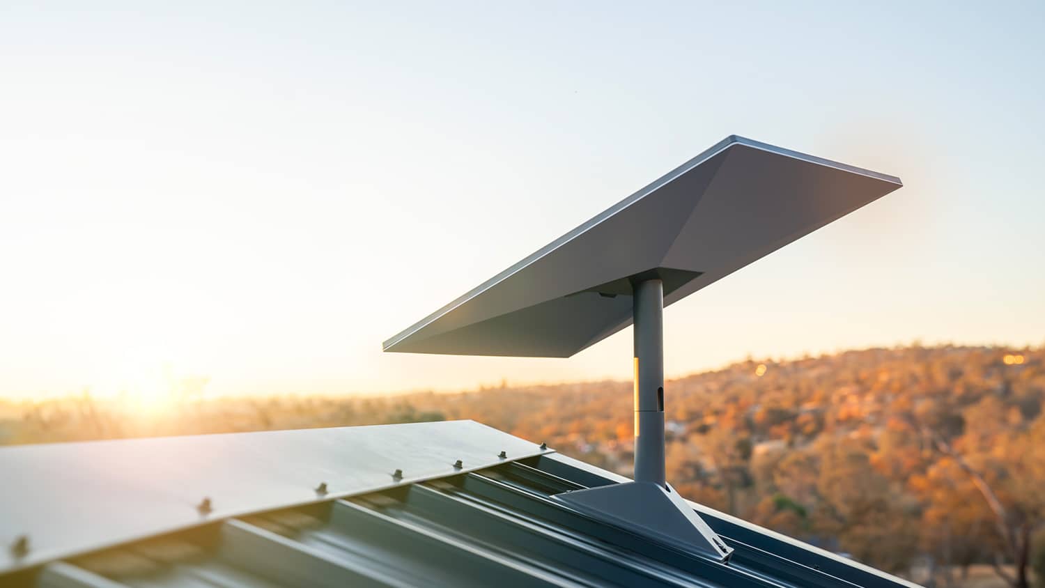 Starlink for Business & Enterprise | Excel Communications